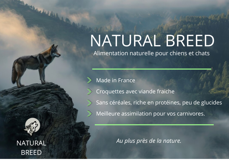 NATURAL BREED | Truffaut